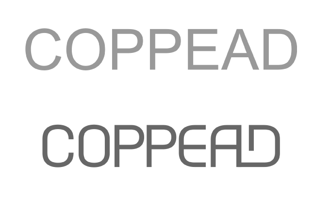 COPPEAD Branding - Carla Zucchi